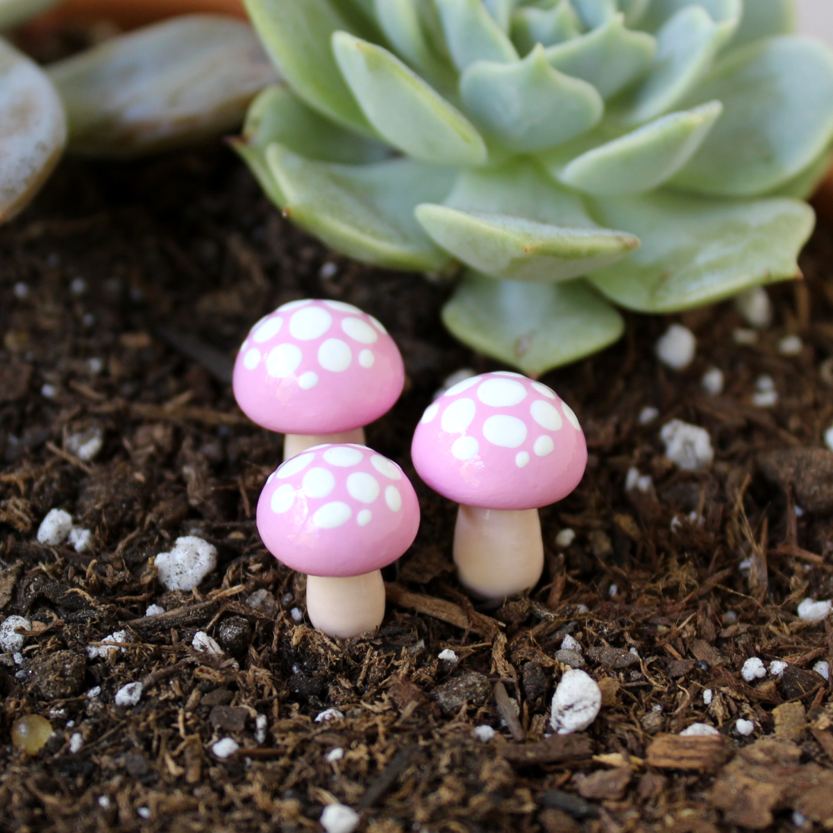 Pink Toadstools (Set of 4) – MariposaMiniatures