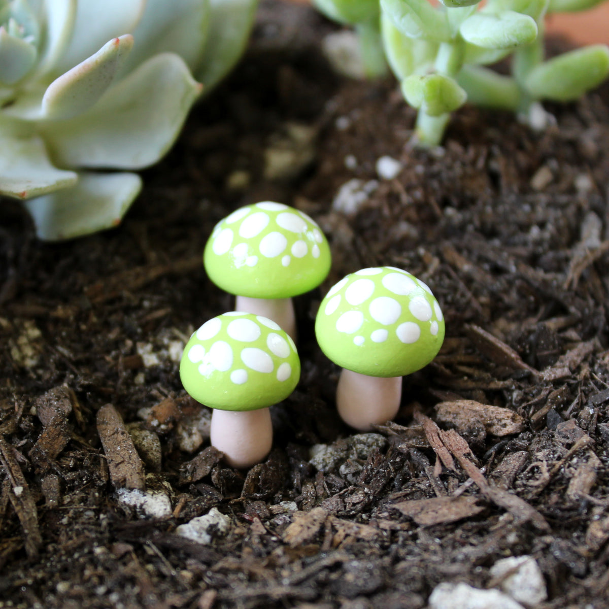 Spring Green Toadstools (Set of 4) – MariposaMiniatures